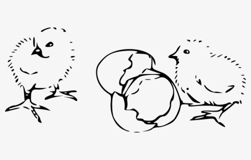 Chicks Clipart Black And White , Free Transparent Clipart - ClipartKey