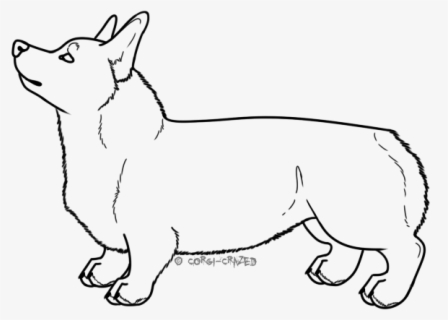 Corgi Outline Drawing - Transparent Corgi Lineart , Free Transparent ...
