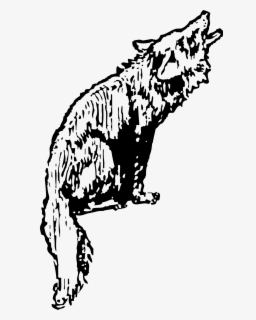 Chibi Corey Coyote - Corey Coyote Art , Free Transparent Clipart ...