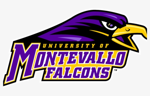 Utpb Falcons Logo - The University Of Texas Of The Permian Basin , Free ...