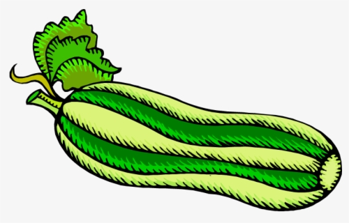 Digger Street Zucchini Clipart - Zucchini Coloring Page , Free ...