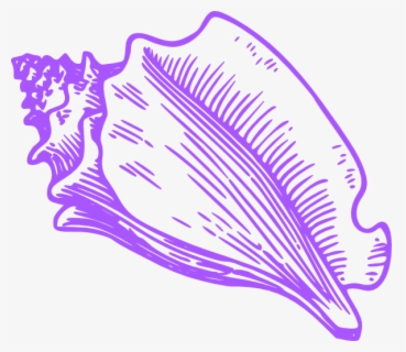 Transparent Shell Clip Art - Shell Heraldry , Free Transparent Clipart ...