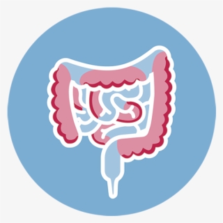 Crohn's Disease Png , Free Transparent Clipart - ClipartKey