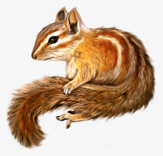 Free Chipmunk Clip Art with No Background - ClipartKey