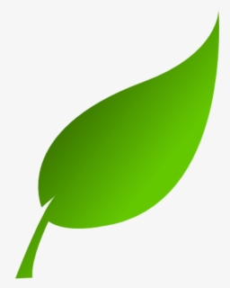 Transparent Fall Leaf Clipart No Background - Green Leaf Watercolor Png ...