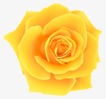 Free Yellow Rose Clip Art With No Background Clipartkey
