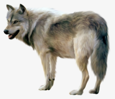 Download Transparent Wolf Clipart Png - Cartoon Wolf Transparent ...