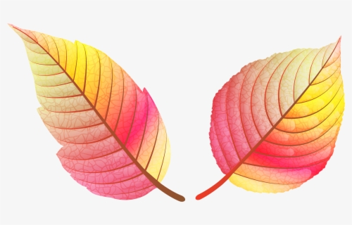 Leaf Clipart Colorful - Colorful Fall Leaves Clip Art , Free ...