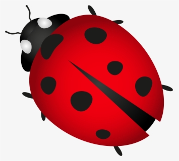 Clipart Spring Ladybug - Png Transparent Ladybug Png , Free Transparent ...