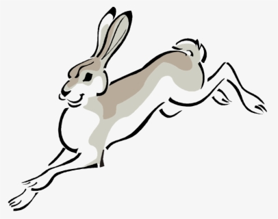 Jack Rabbit Transparent Background , Free Transparent Clipart - ClipartKey