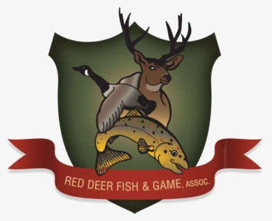 Fish Hunter Game Png , Transparent Cartoons - Fish Hunter Game Png ...