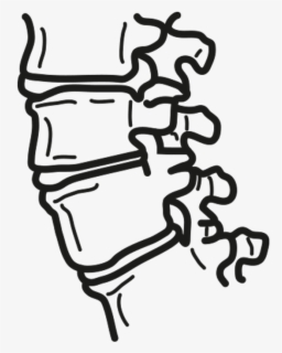 Drawing Spine , Free Transparent Clipart - ClipartKey