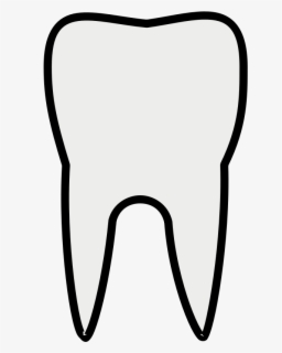 Premolar Teeth Clipart , Free Transparent Clipart - ClipartKey