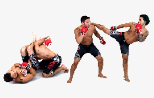 Mixed Martial Arts Png, Mma Png - Mma Png , Free Transparent Clipart ...