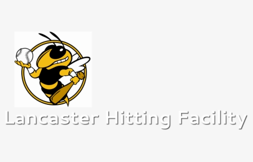 Download Mount Vernon Yellow Jackets - ClipartKey