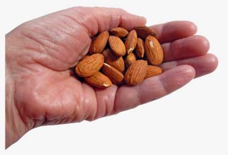 Handful Png - One Handful Nuts , Free Transparent Clipart - ClipartKey