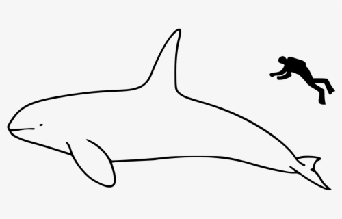 Transparent Comparison Clipart , Free Transparent Clipart - ClipartKey