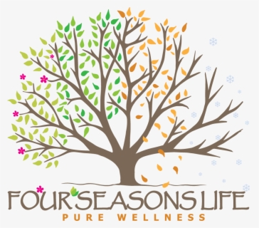 Tree Through The Seasons Clipart - Tree Changes During Seasons , Free ...