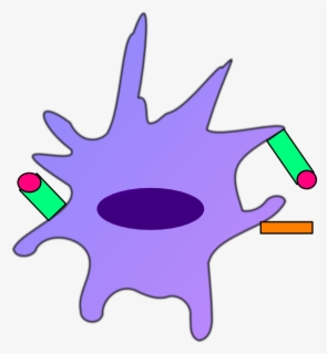 Dendritic Cell Clipart , Free Transparent Clipart - ClipartKey