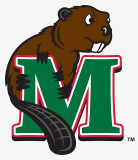 Minot State Baseball Scores, Results, Schedule, Roster - Minot State ...