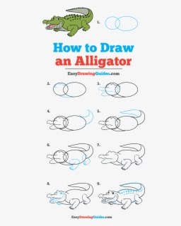 How To Draw Alligator - Buwaya Drawing , Free Transparent Clipart ...
