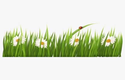 Ground Transparent Clip Art - Cartoon Grass Transparent Background ...