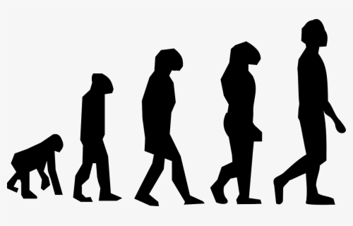 Evolution Human Evolution The Theory Of Evolution Free - Evolution Of ...