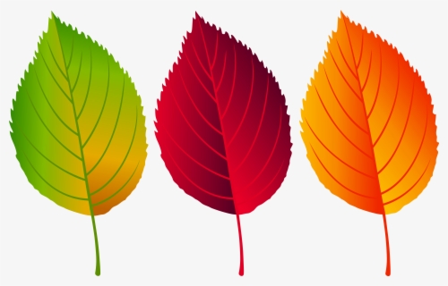 Leaf Clipart Colorful - Colorful Fall Leaves Clip Art , Free ...