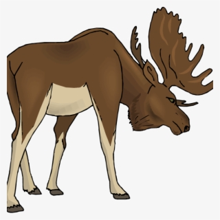 The Imagery Is Inspired By Prominent Alaskan Wildlife - Moose Emote ...