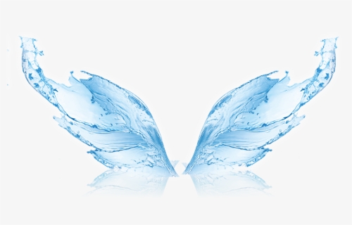 Splash Facebook Icon Png Image Free Download Searchpng - Whatsapp Icon ...