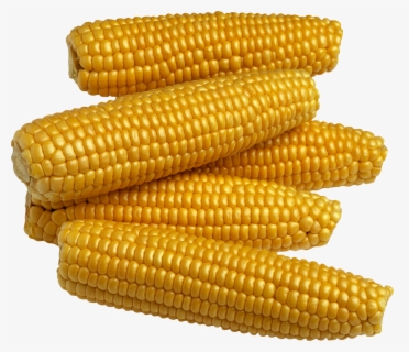 Free Corn On The Cob Clip Art with No Background - ClipartKey
