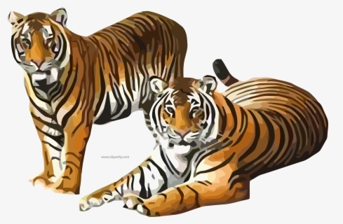 Clip Art Two Tigers , Free Transparent Clipart - ClipartKey