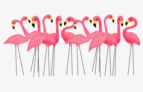 Free Flamingo Clip Art with No Background - ClipartKey