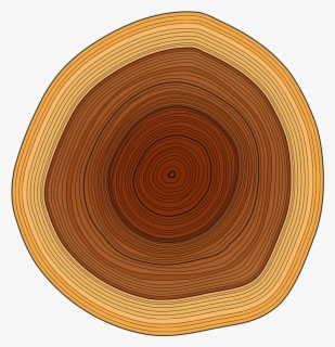 Tree Ring Clipart - Circle , Free Transparent Clipart - ClipartKey