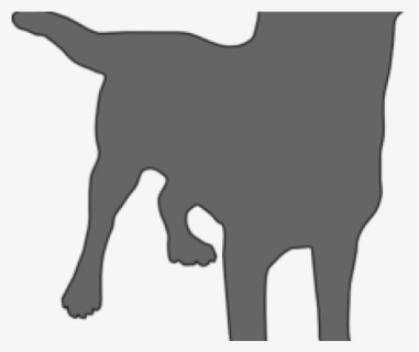 Labrador Retriever Outline - Black Outline Of Dog , Free Transparent ...