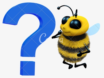 Orange Question Mark Clip Art - Question Mark On A Bee , Free ...