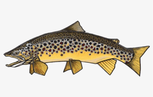 Trout Dxf File , Free Transparent Clipart - ClipartKey
