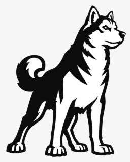 Northeastern Huskies Logo Png , Free Transparent Clipart - ClipartKey