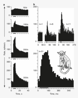 Free Parameter Clip Art with No Background - ClipartKey