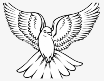 Columbidae Funeral Symbols As Drawing Doves - Dove Bird Tattoo Design ...