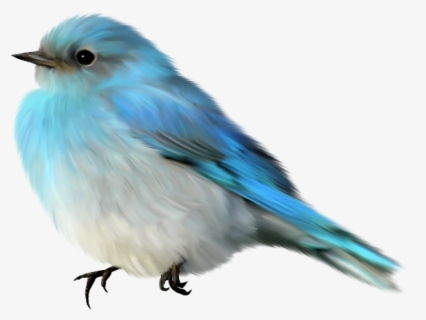 Free Blue Bird Clip Art with No Background - ClipartKey