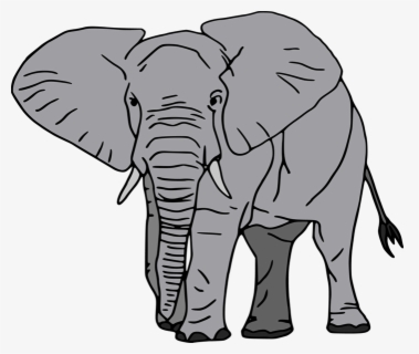 Asian Elephant Clipart Zoo Animal - Elephants For Children , Free ...