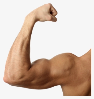 Transparent Muscle Man Clipart - Muscular Arm Transparent Background ...