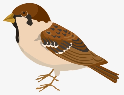 Free Sparrow Clip Art with No Background - ClipartKey