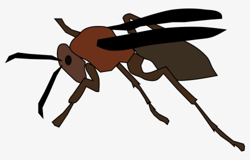 Free Wasp Clip Art with No Background - ClipartKey