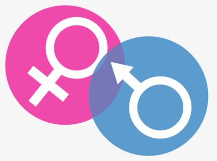 Logo Gender And Development , Free Transparent Clipart - ClipartKey