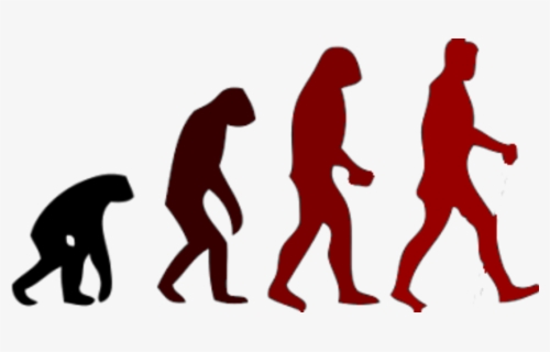 March Of Progress Human Evolution Neanderthal - Animals Change Over ...