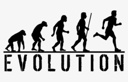 Evolution Of Man , Free Transparent Clipart - ClipartKey