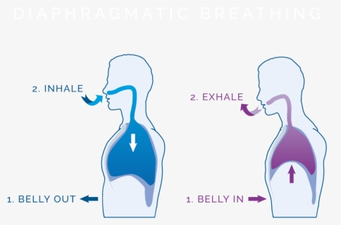 Deep Breath Cartoon No Background , Free Transparent Clipart - ClipartKey