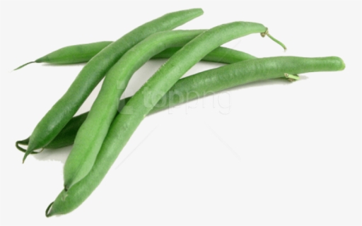 Free Green Beans Clip Art with No Background - ClipartKey